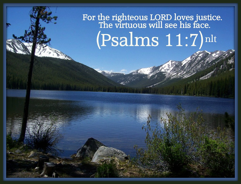 Day 2427 – Wisdom Nuggets – Psalm 11:1-7 – Daily Wisdom - Wisdom-Trek