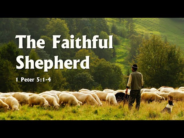 Day 2409 – Our Fiery Ordeal – A Job Description for Shepherds – 1 PETER ...