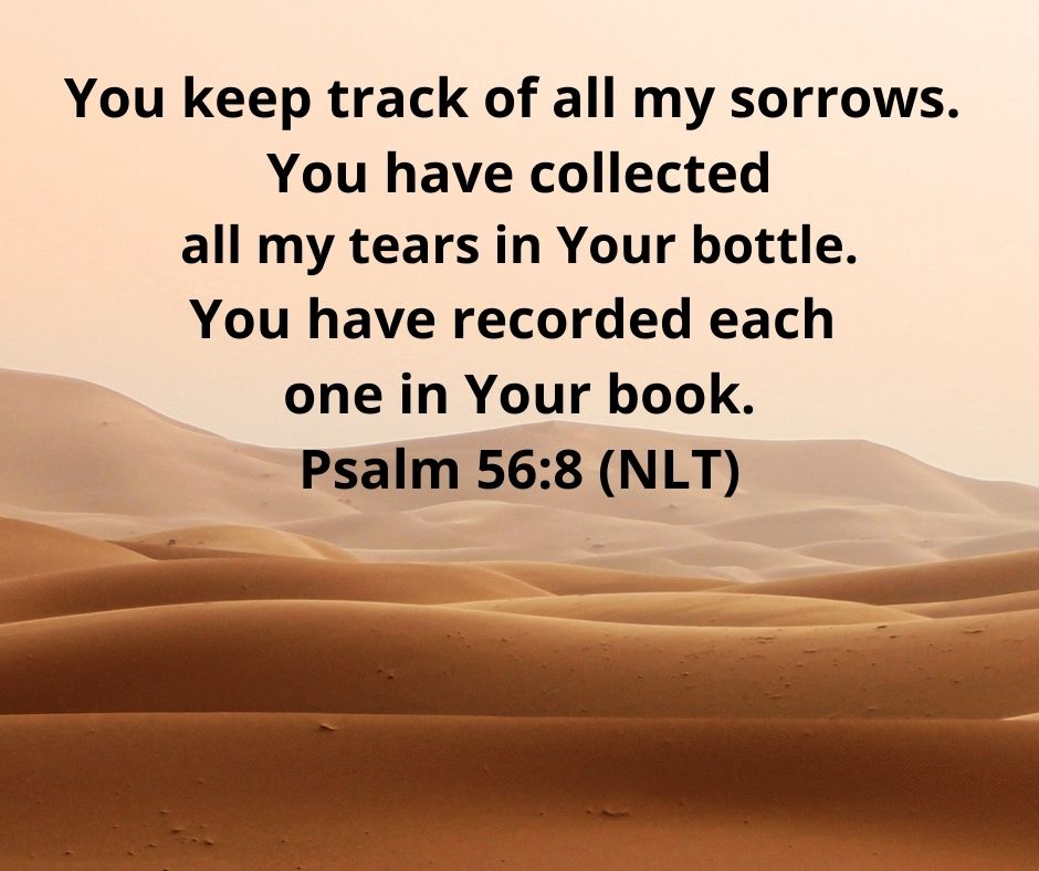 Day 2603 – Wisdom Nuggets – Psalm 56:8-13 – Daily Wisdom - Wisdom-Trek