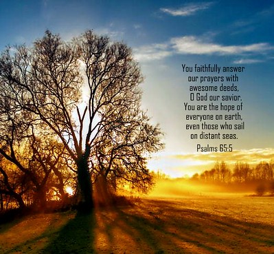 Day 2622 – Wisdom Nuggets – Psalm 65:1-13 – Daily Wisdom - Wisdom-Trek