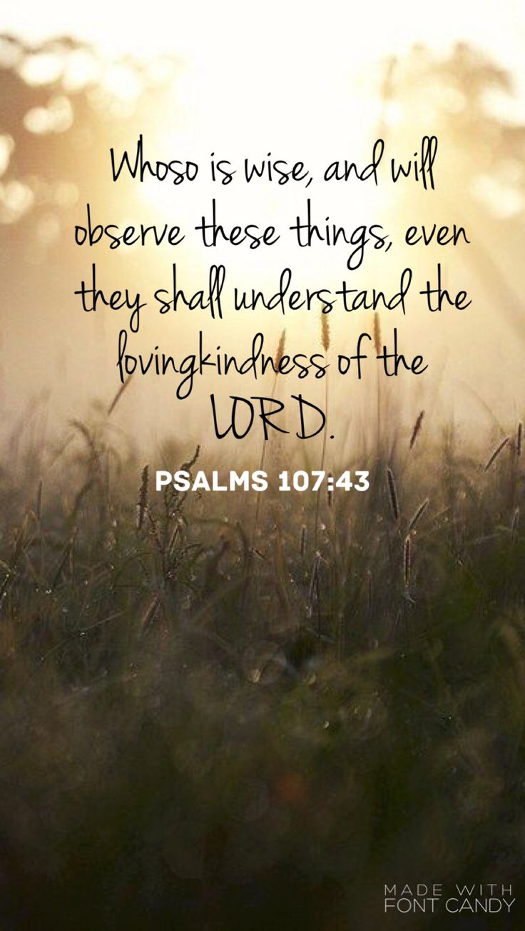 Day 2782 Wisdom Nuggets – Psalm 17:33-43 – Daily Wisdom - Wisdom-Trek